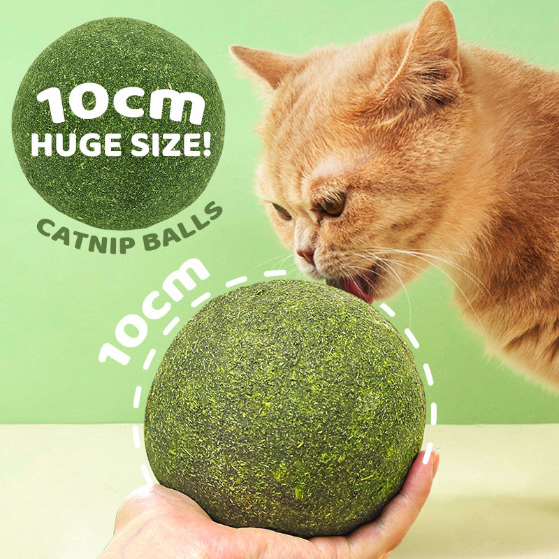 Enorme ballen kattenkruid – somefune